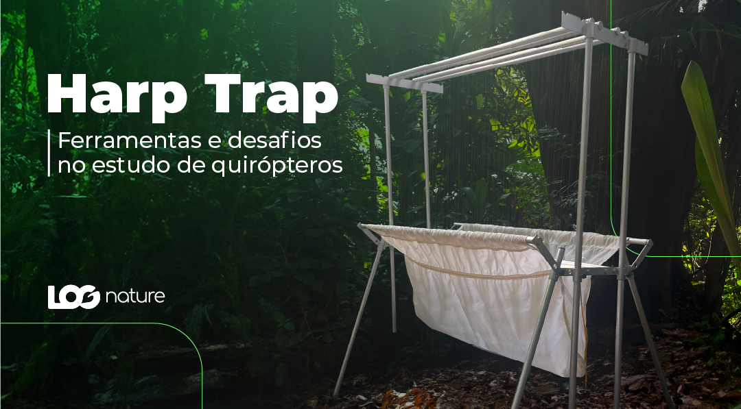 Harp Trap - Ferramentas e Desafios no Estudo de quirópteros
