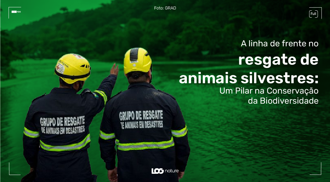 A Linha de Frente no Resgate de Animais Silvestres: Um Pilar na ...