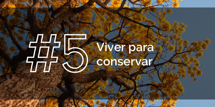 Viver para conservar