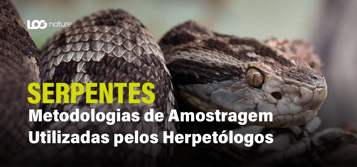 A Importância das Serpentes nos Ecossistemas e Metodologias de ...